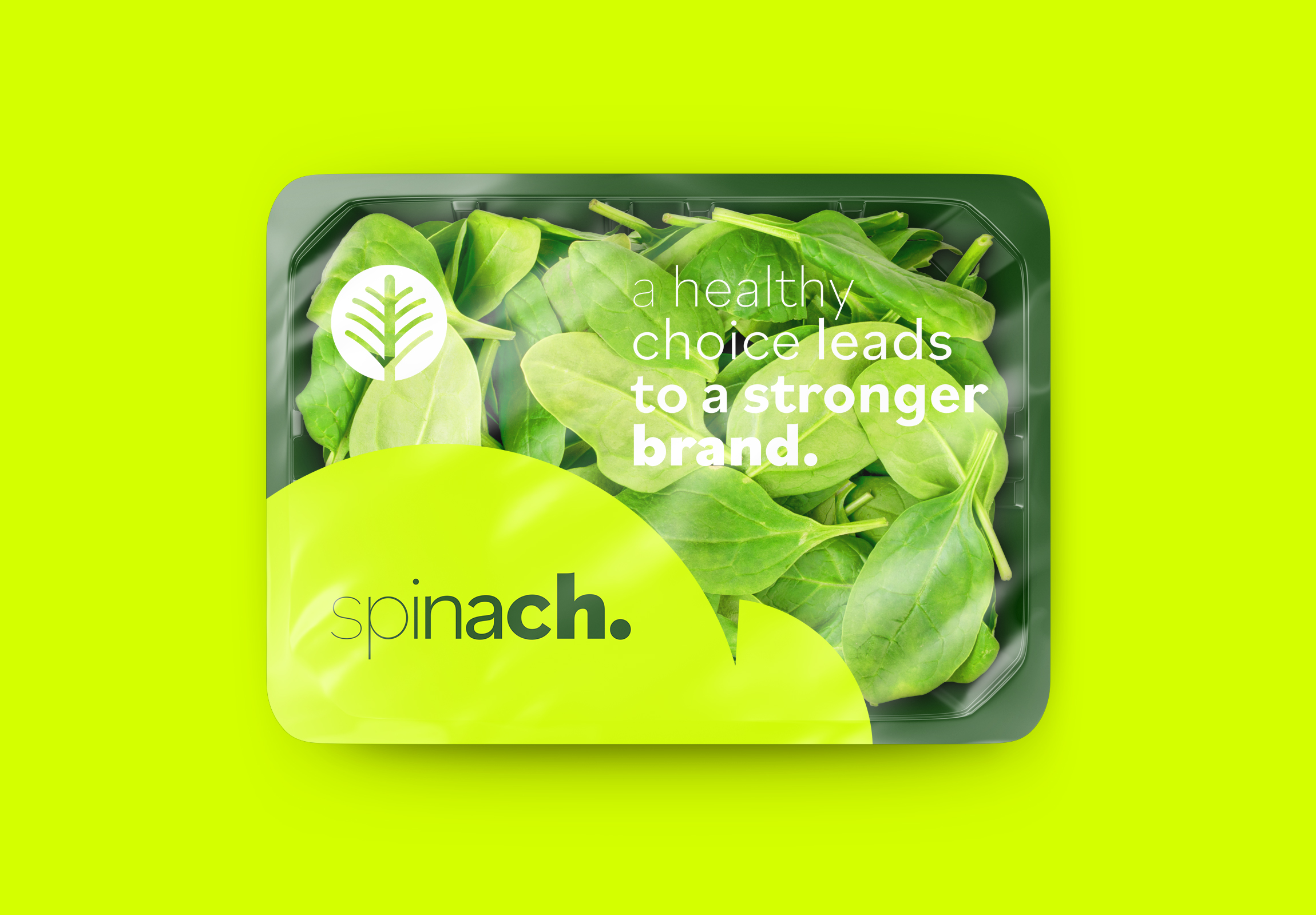 Pencil Studio - Work - Spinach